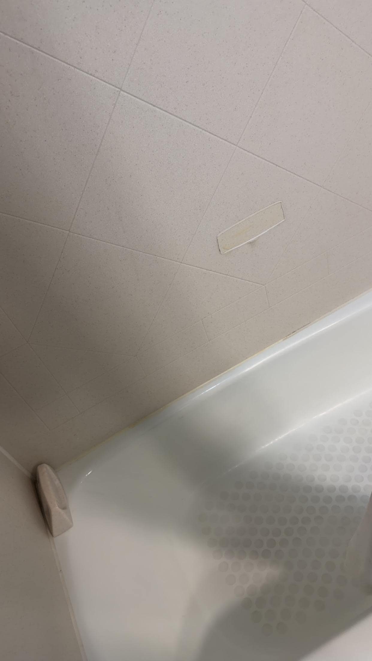 Soap shelf not attached to wall in the shower. Maintenance needed here 