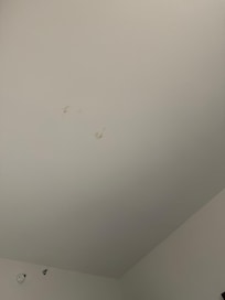 Red/orange things on ceiling