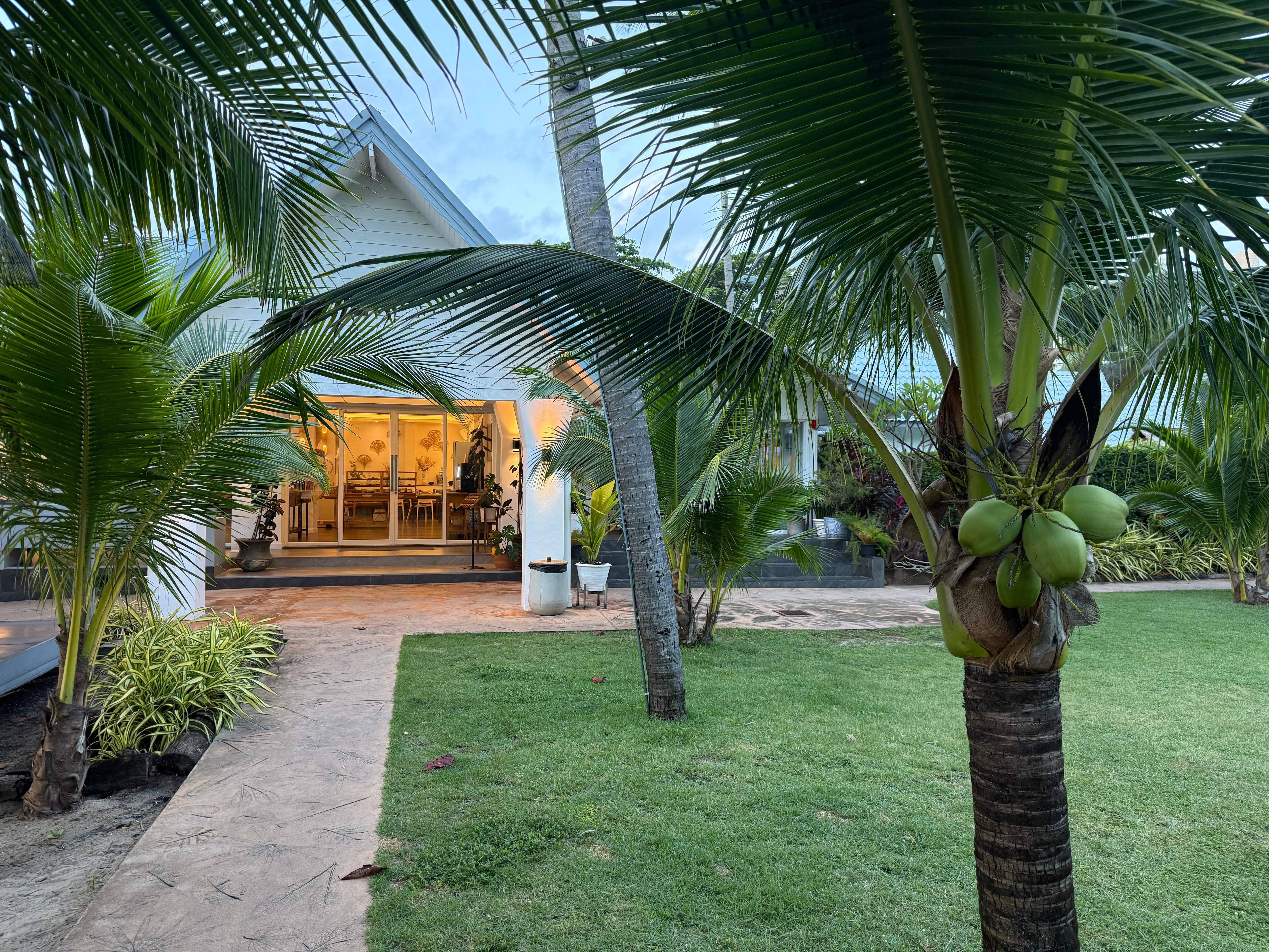 Resepsiyon/Restorant önü