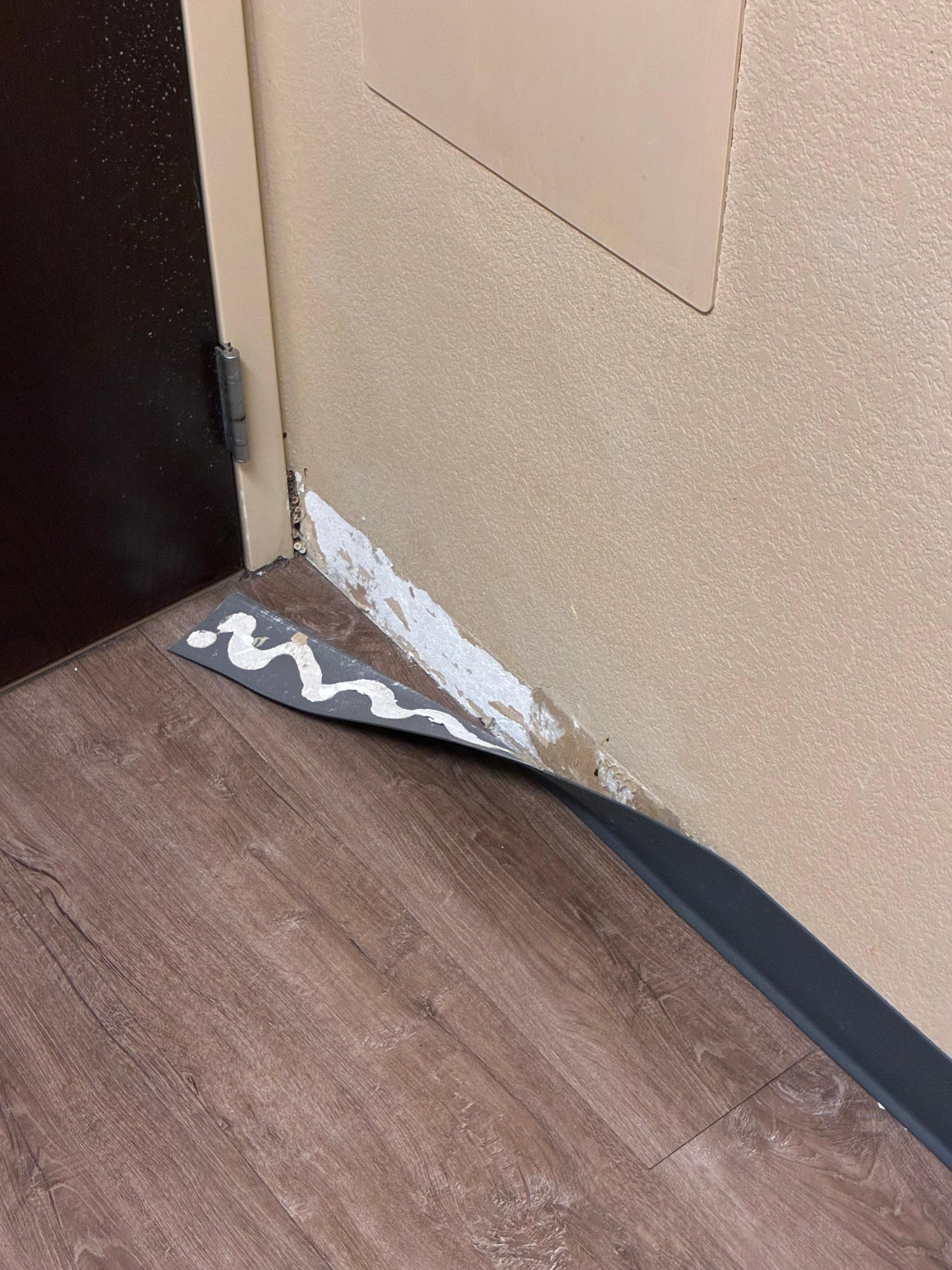 Room was literally falling apart.