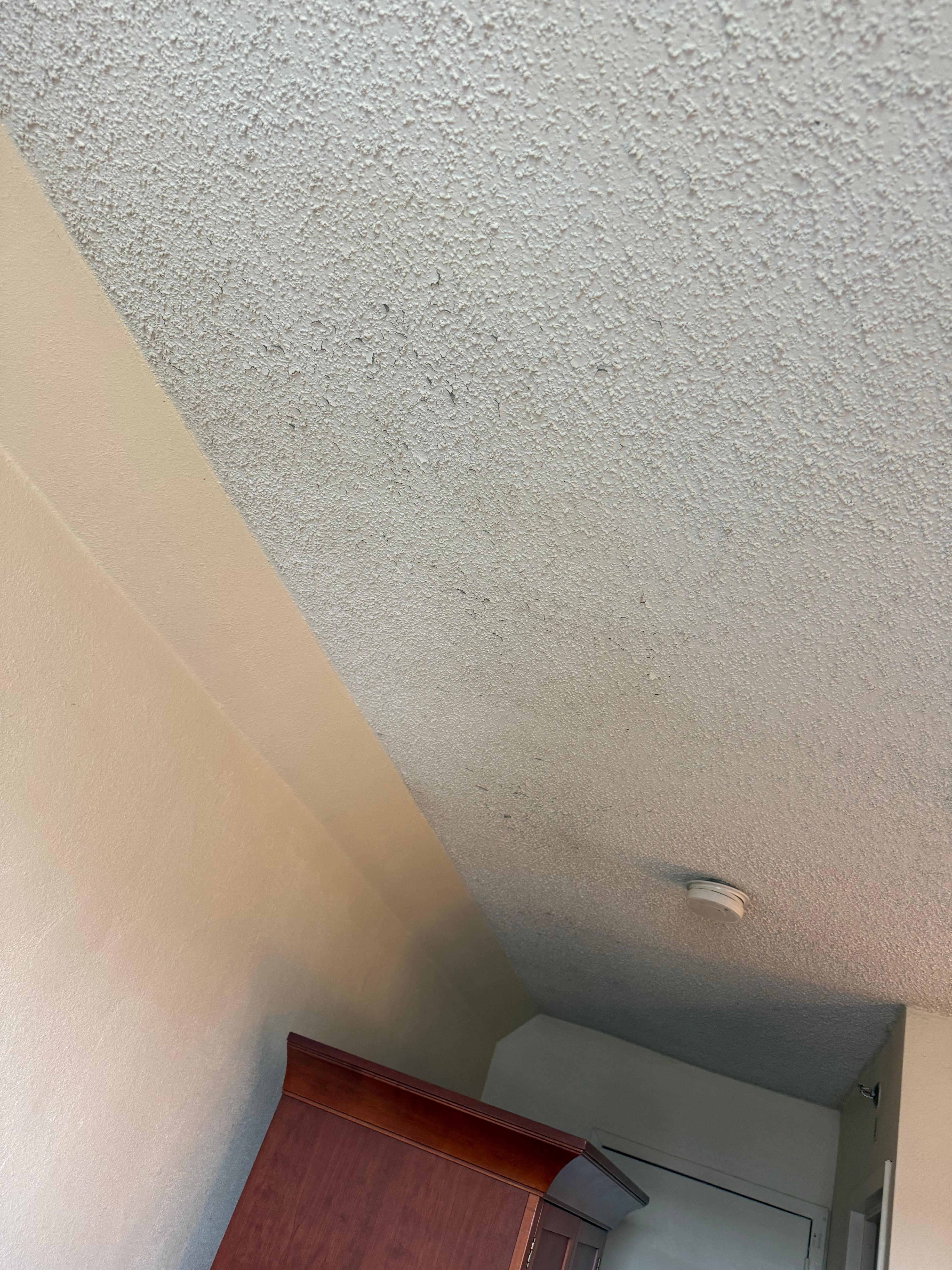 Fire alarm not hooked up and more stains in the ceiling
