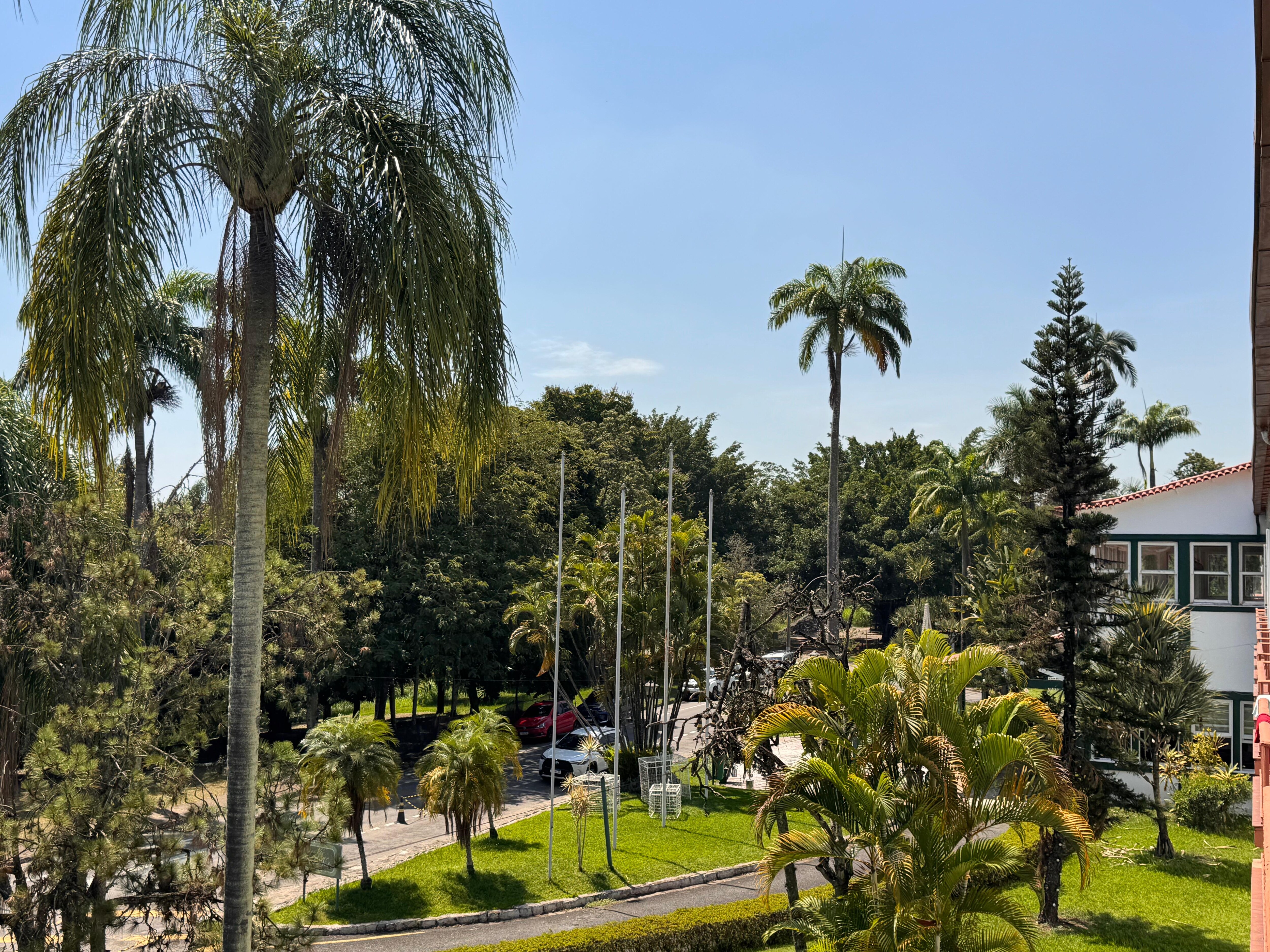 na cidade em ambiente bucólico…