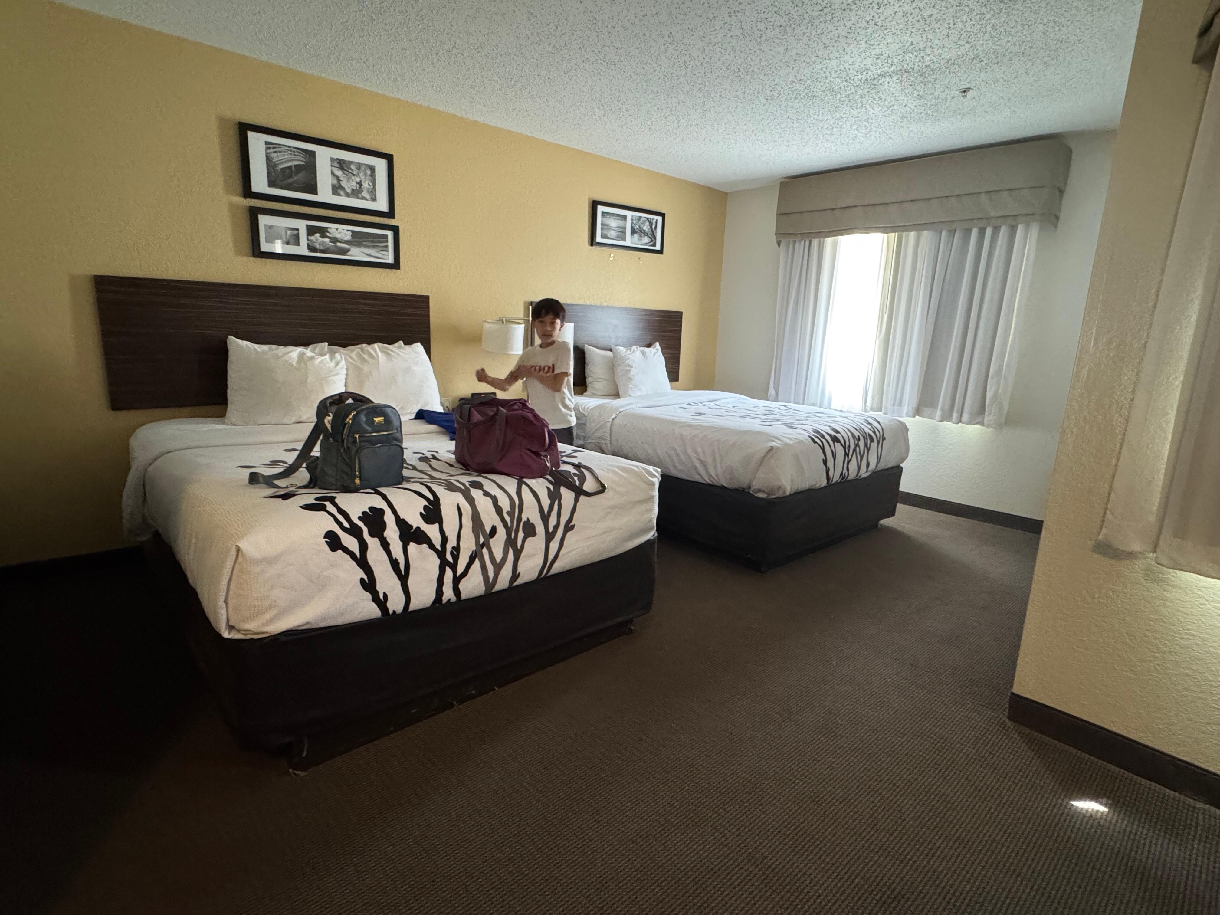 Spacious room, but carpet need more deep cleaned. 