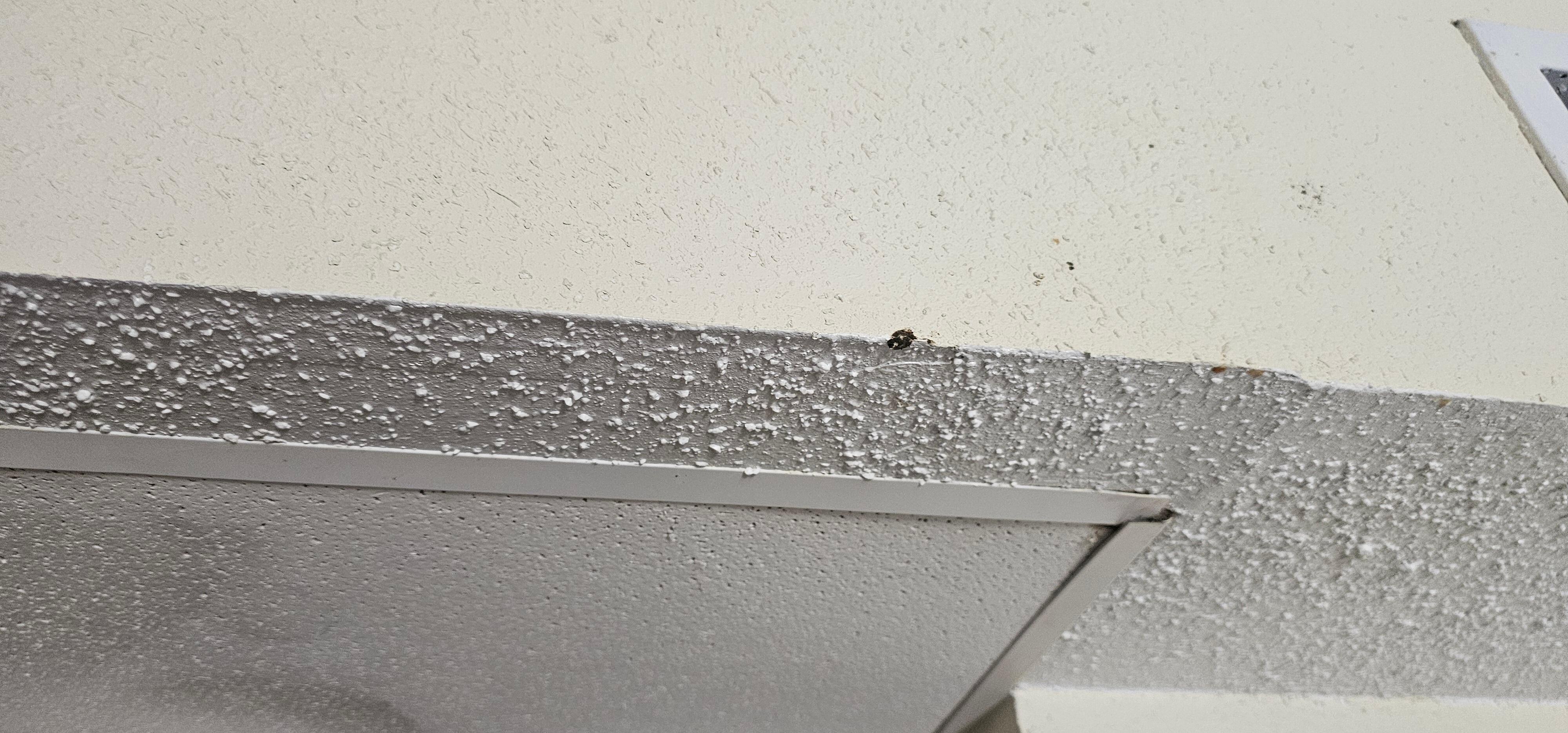 Mold