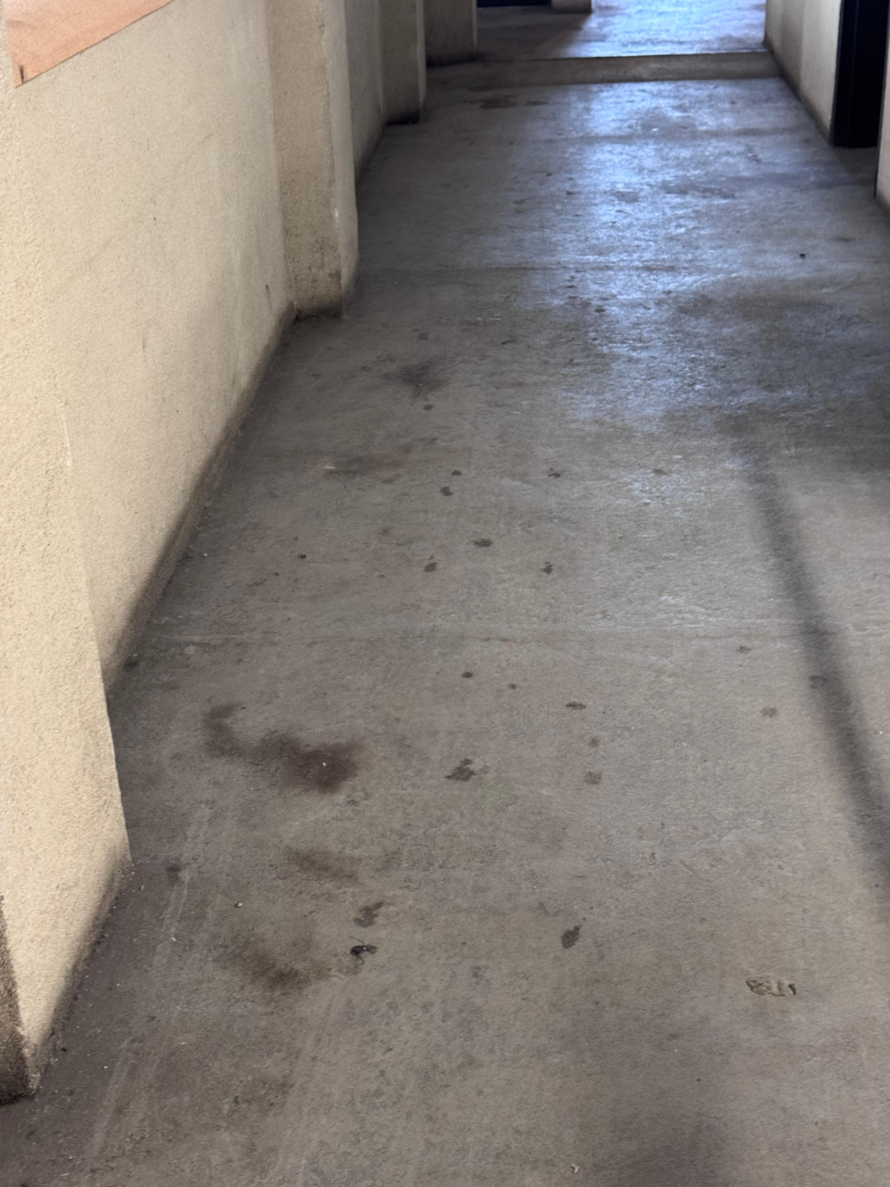 This is what you have to walk through to get to your room