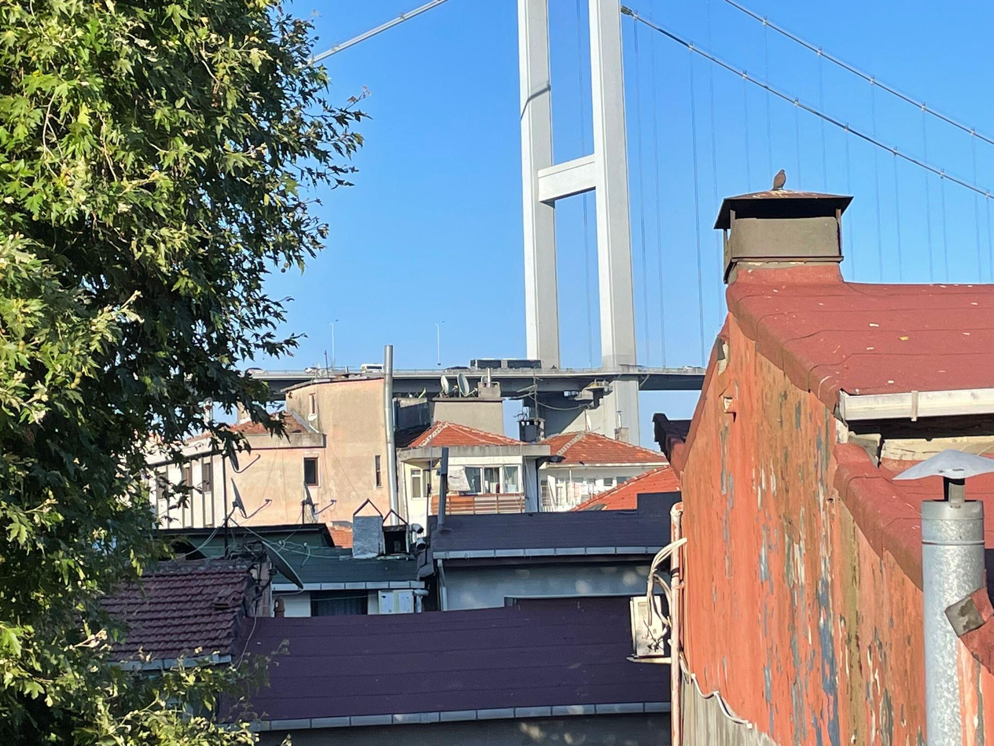 The view from my room