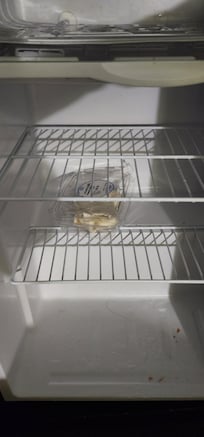 Left over food from the previous occupant.