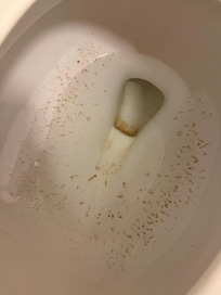 Toilet when we checked in.