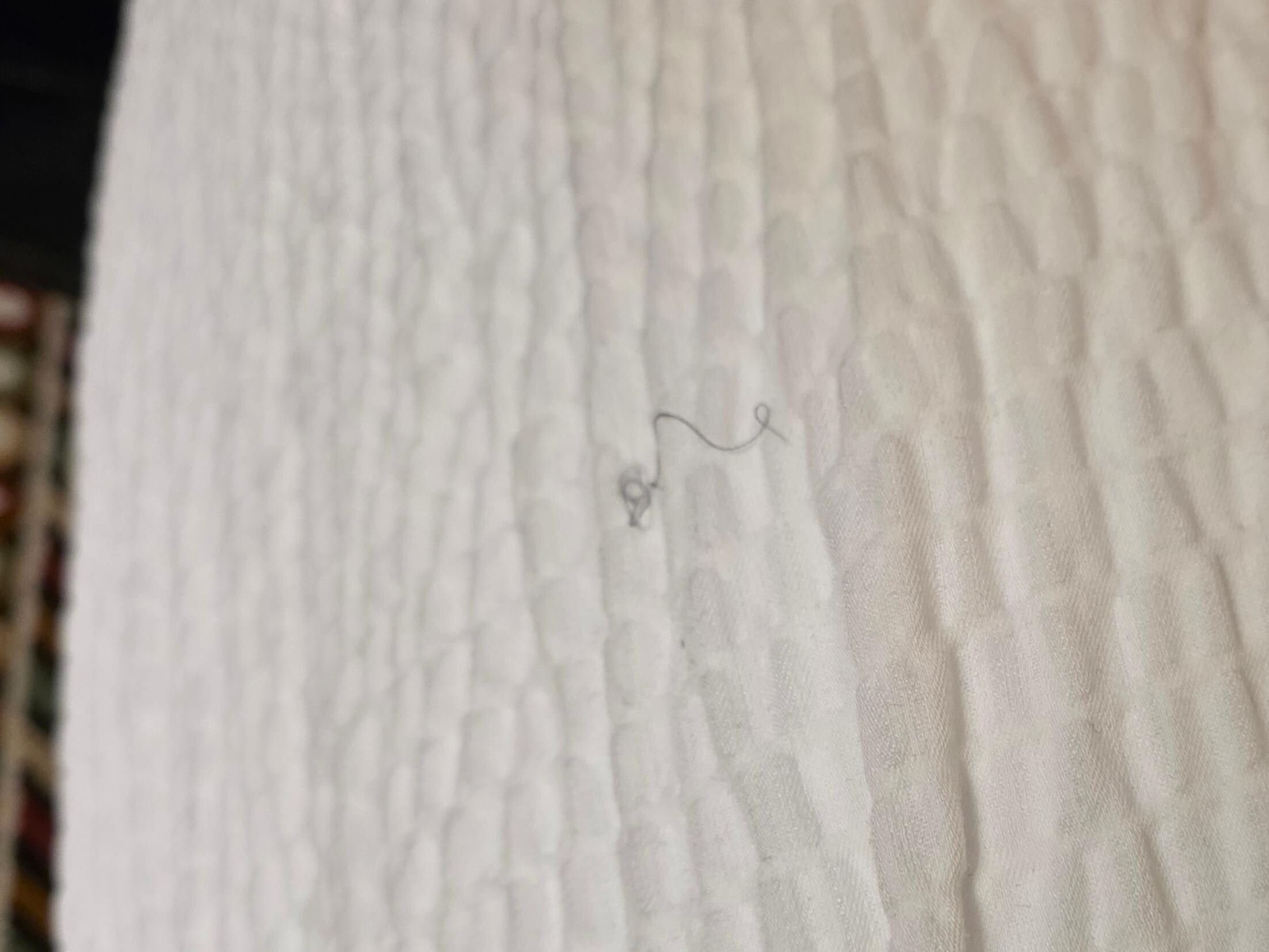 Hair that was clearly apart of the bedding. But my color.