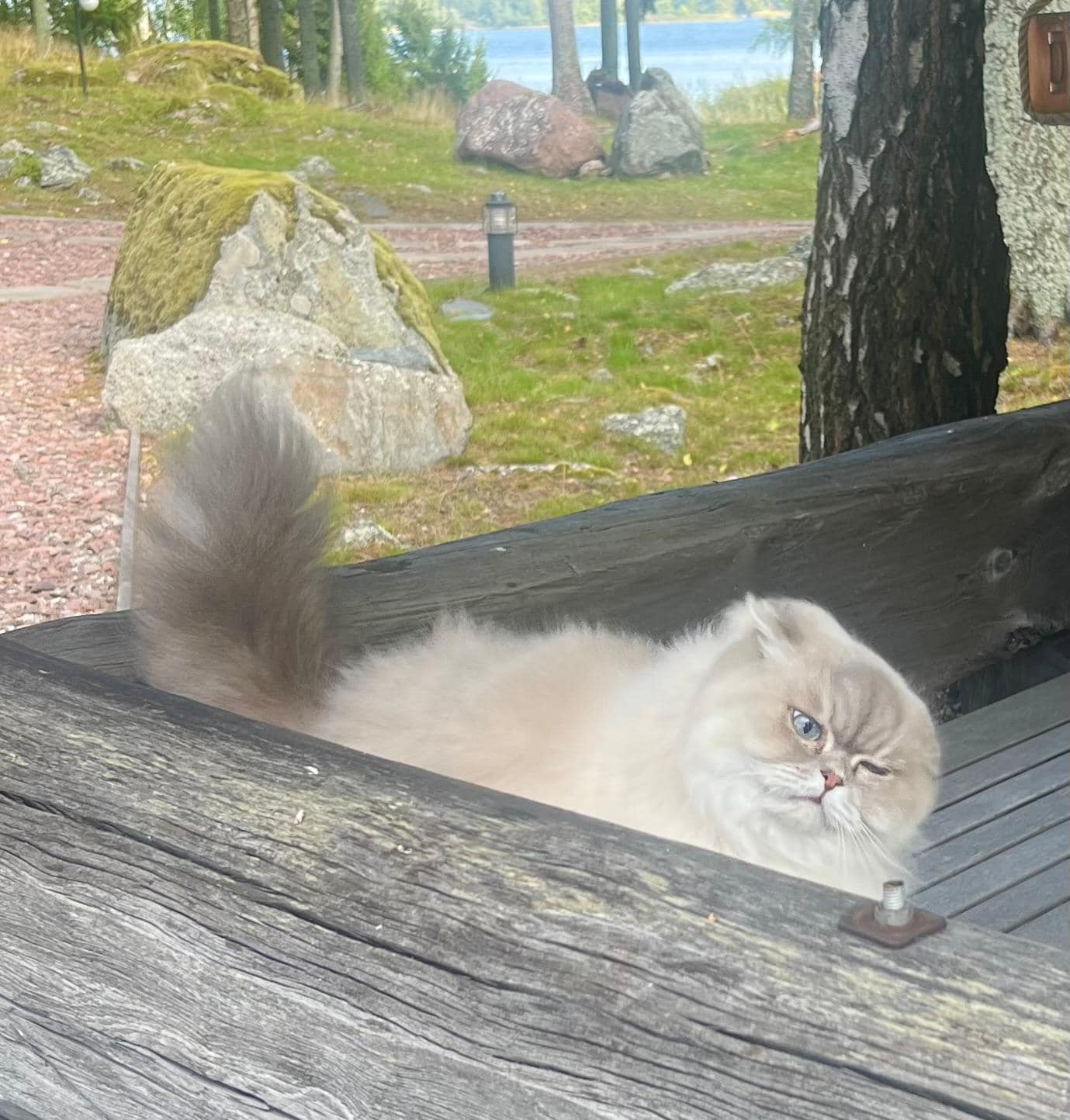 Check-in tämä hotelli