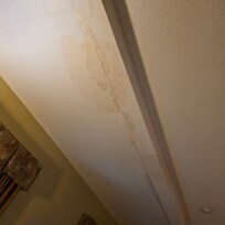 Ceiling was very stained and the wall looked like someone had vomited all over it.