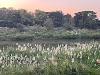 lagoon from the room