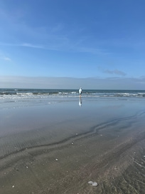 Morning beach walks steps away from the Inn, just one mile from center of town.