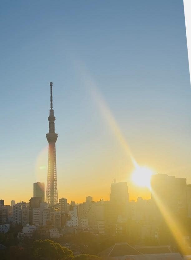 朝7時過ぎ位に窓から見えた景色です
素敵な朝を迎えることが出来ました。