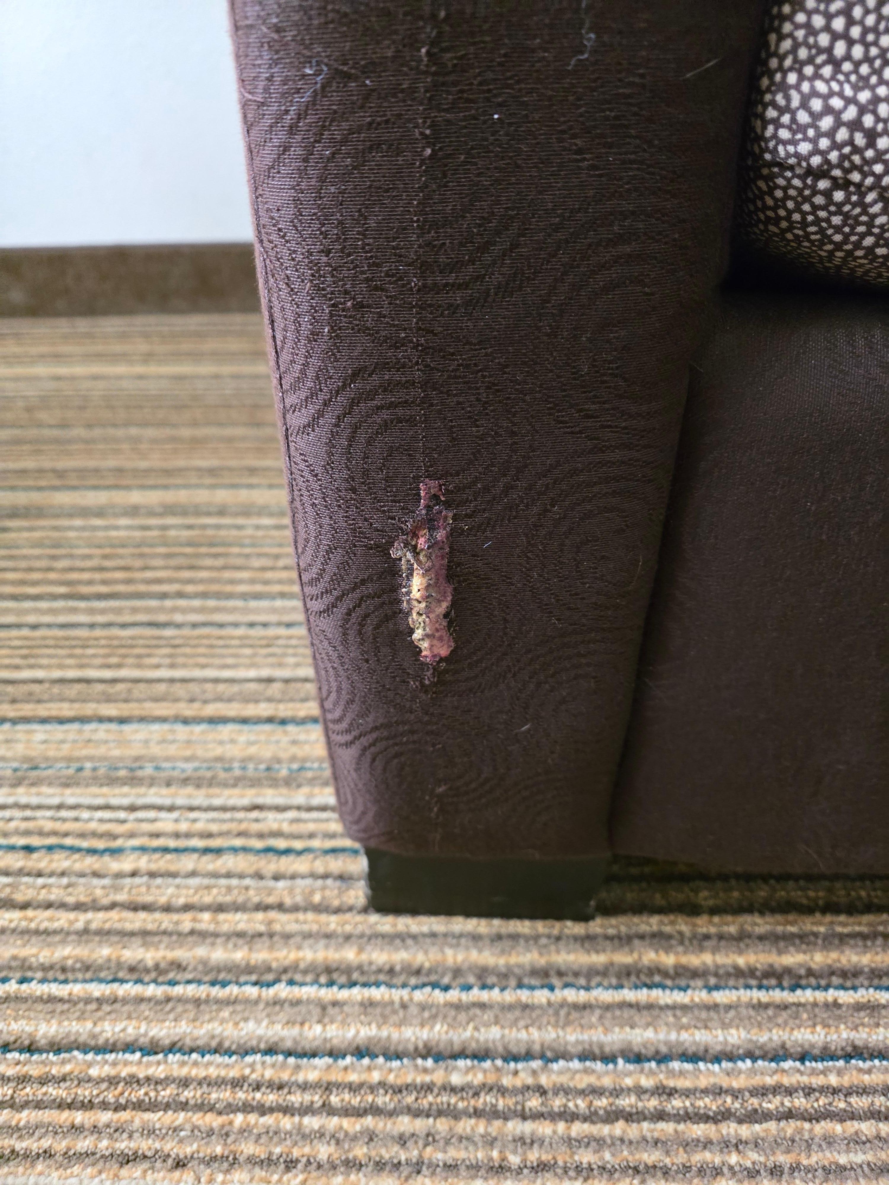 A little tore up but it's all cosmetic