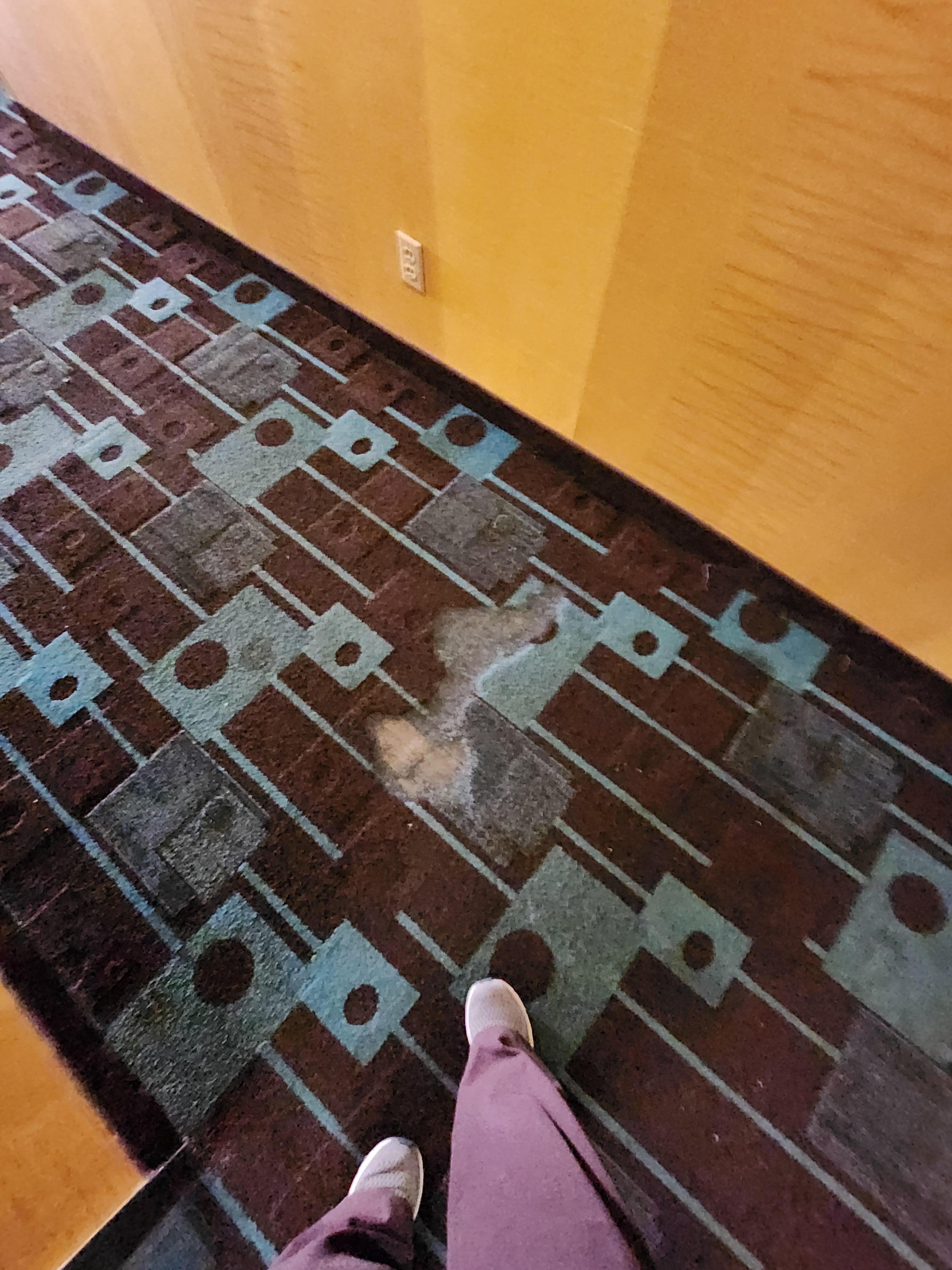 Melted carpet