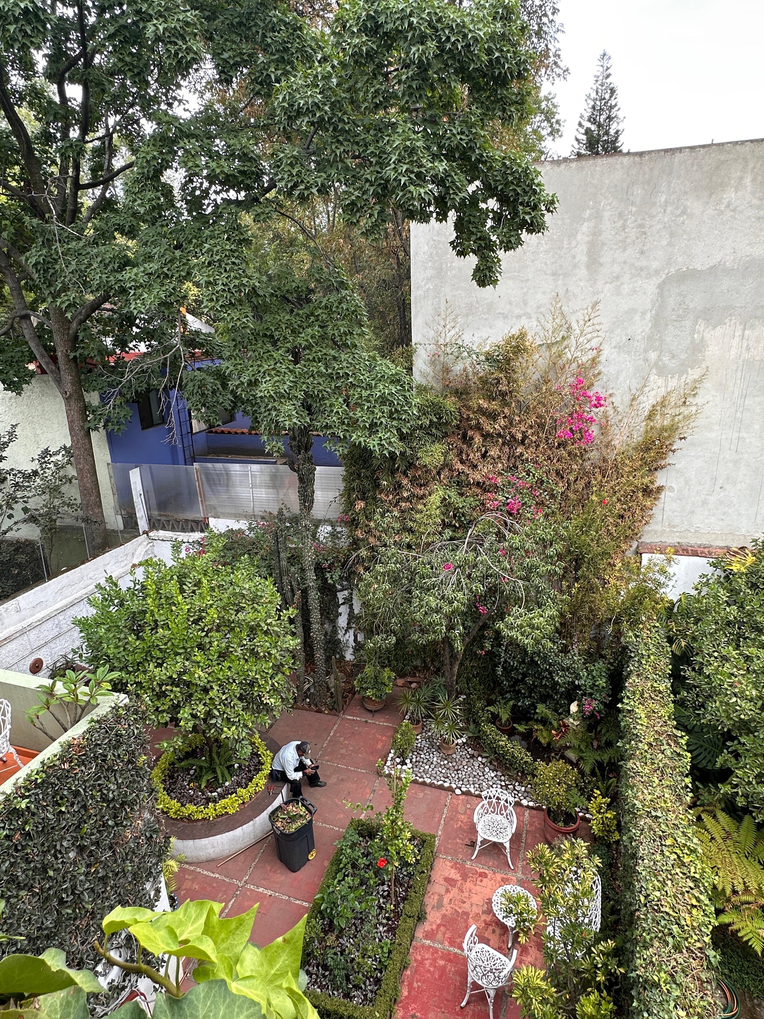 Pretty courtyard 