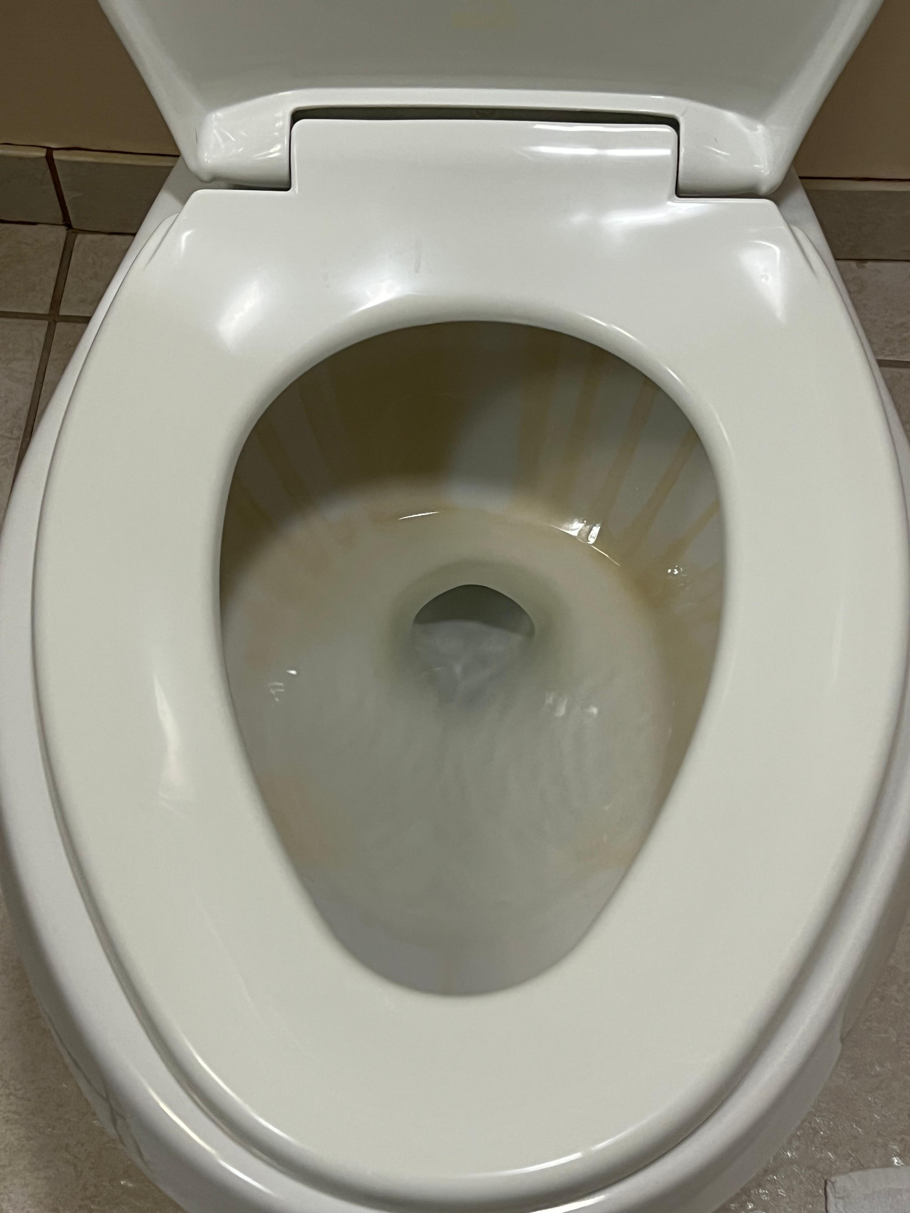 Disgusting toilet