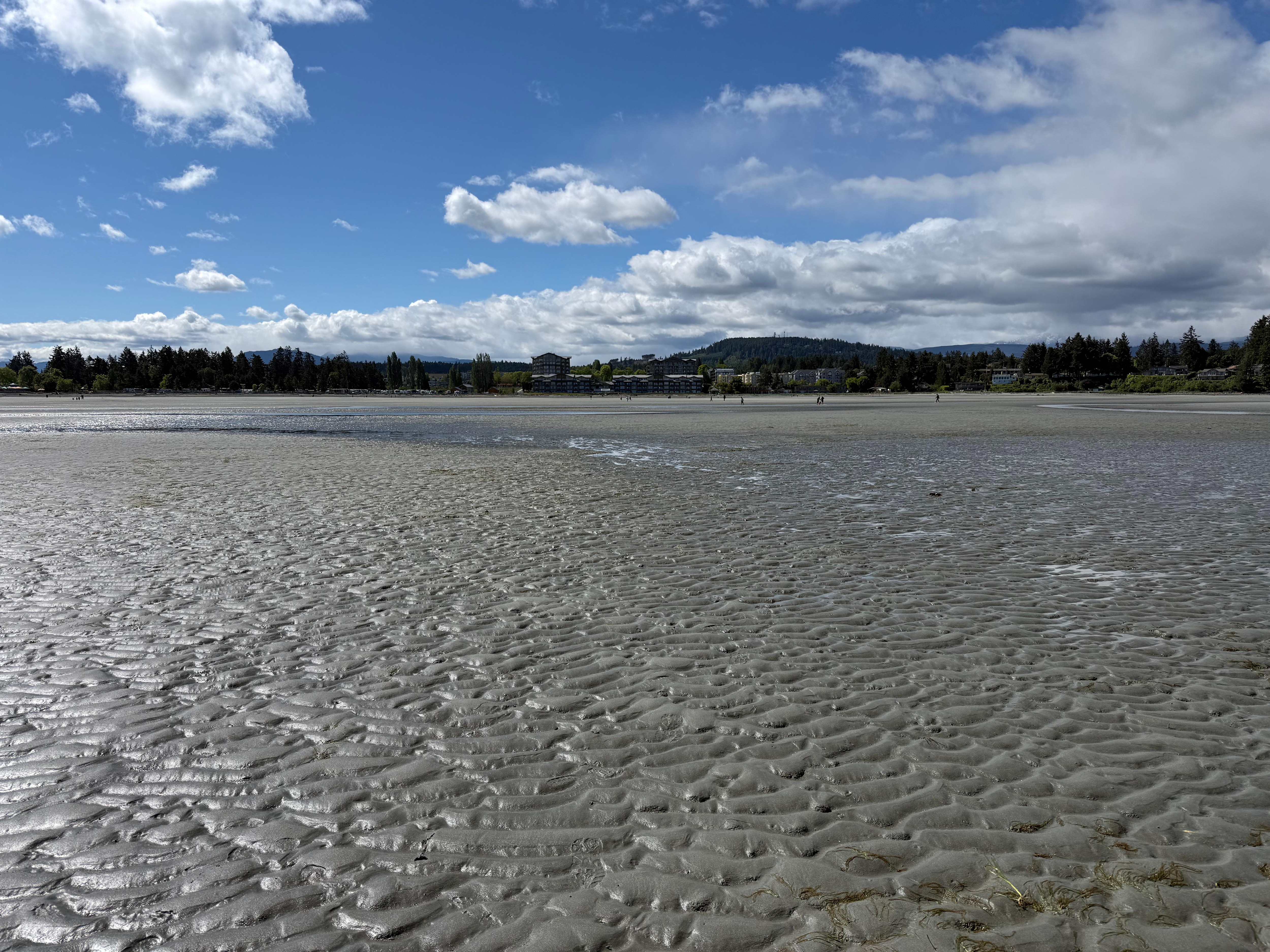 During low tide you can walk out and beach comb. View of the hotel from the beach. 