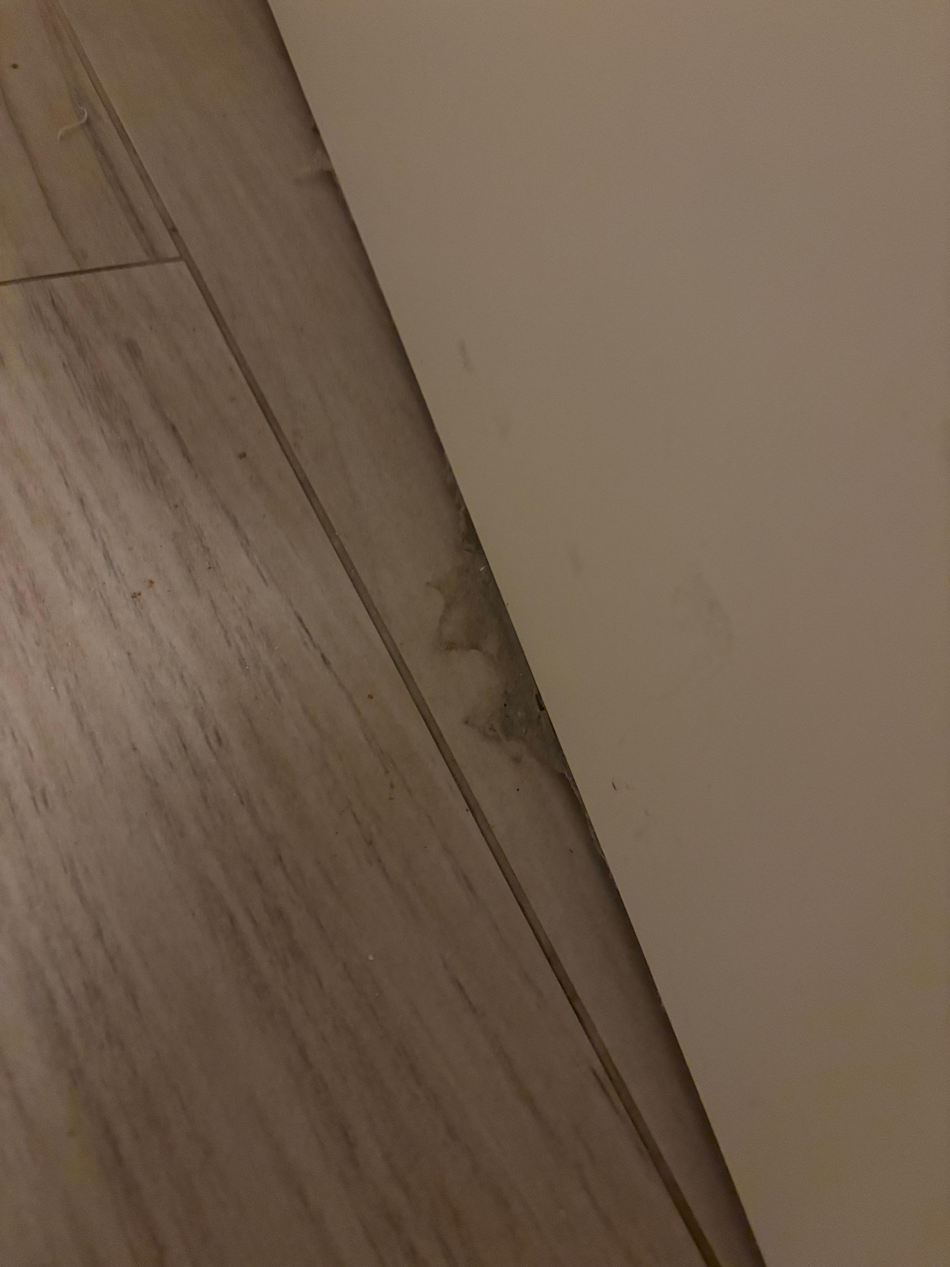 Dust under the doors