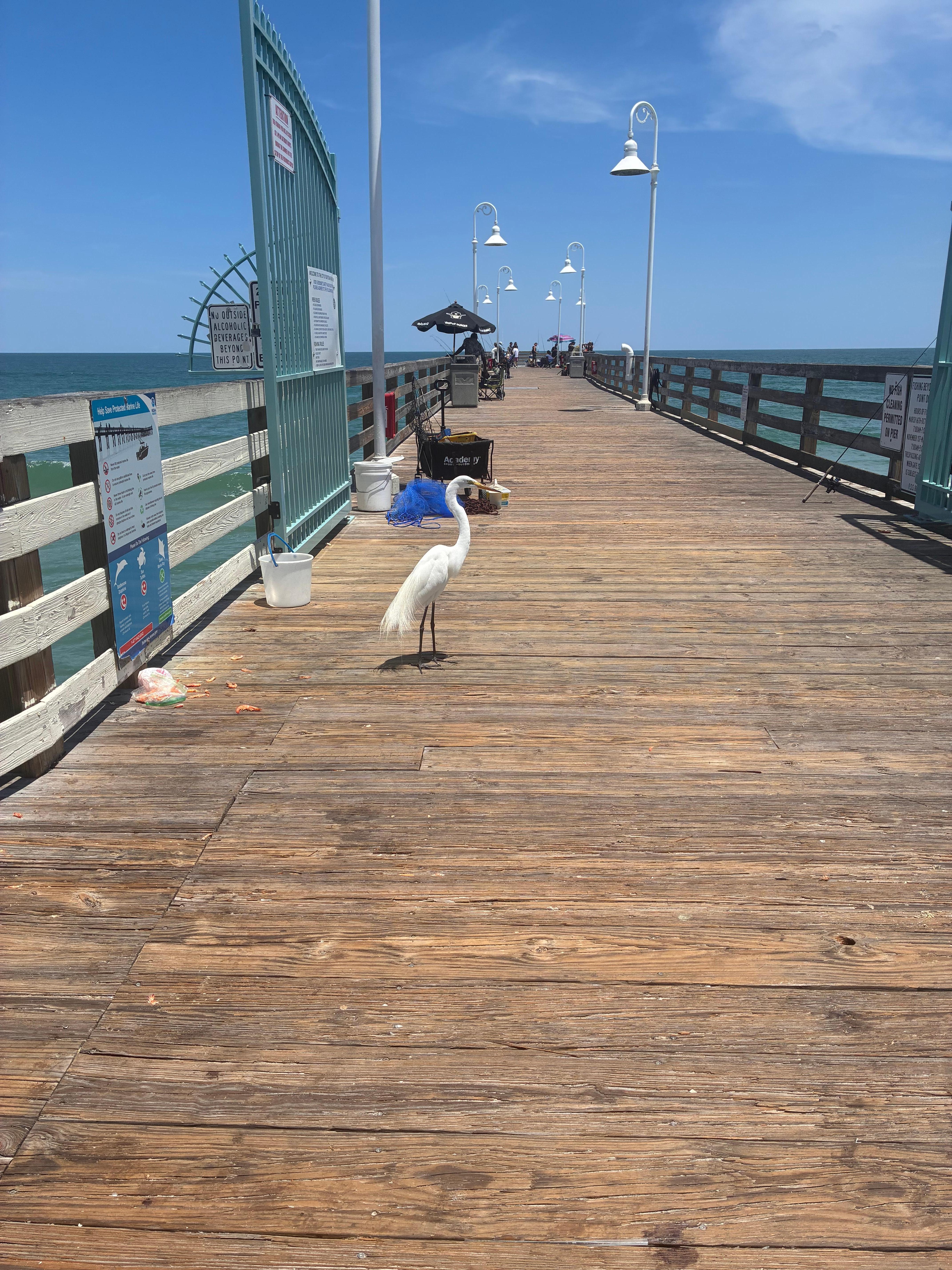 The pier