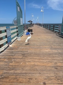The pier