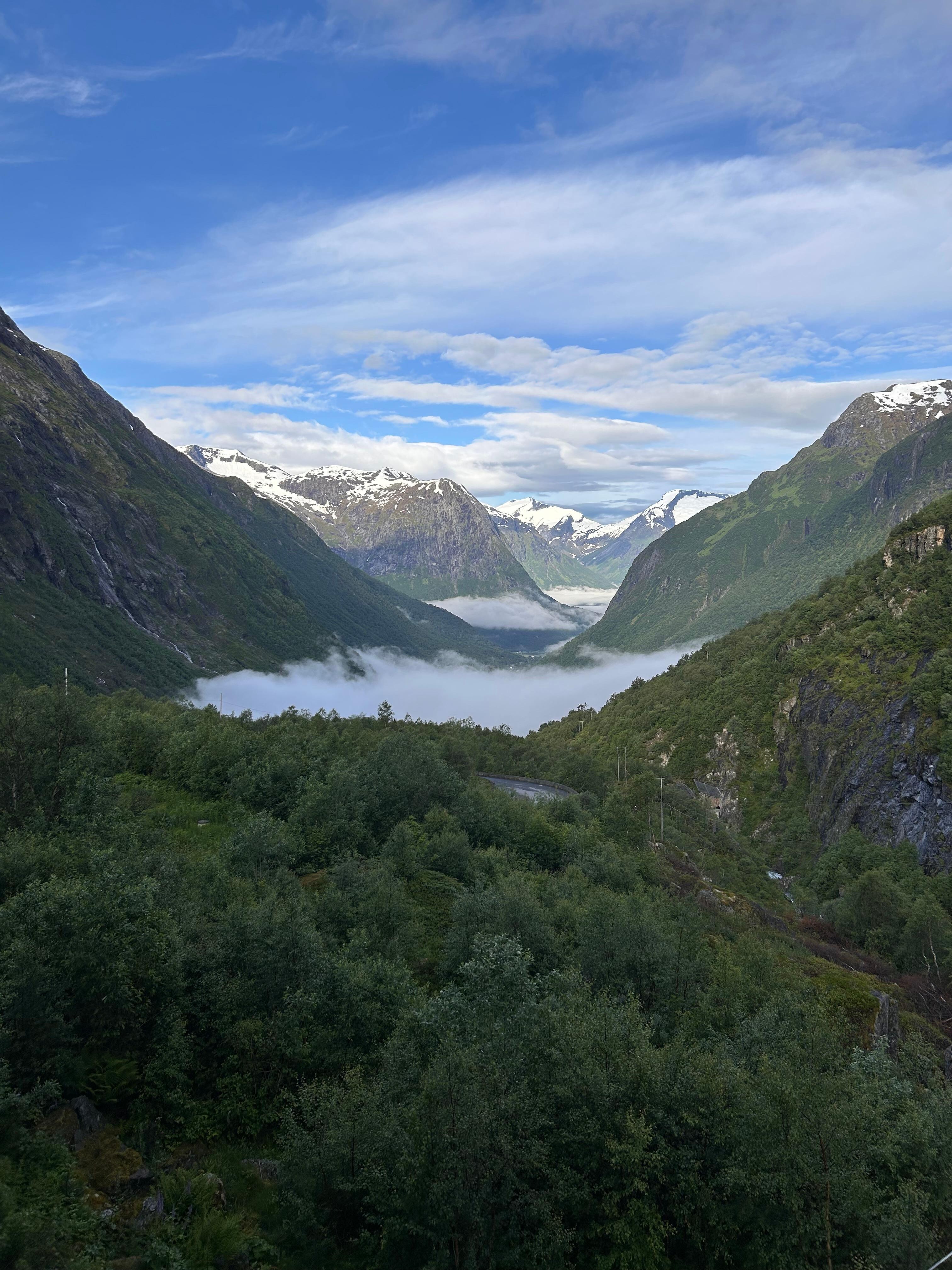 View from room 114 in the morning 