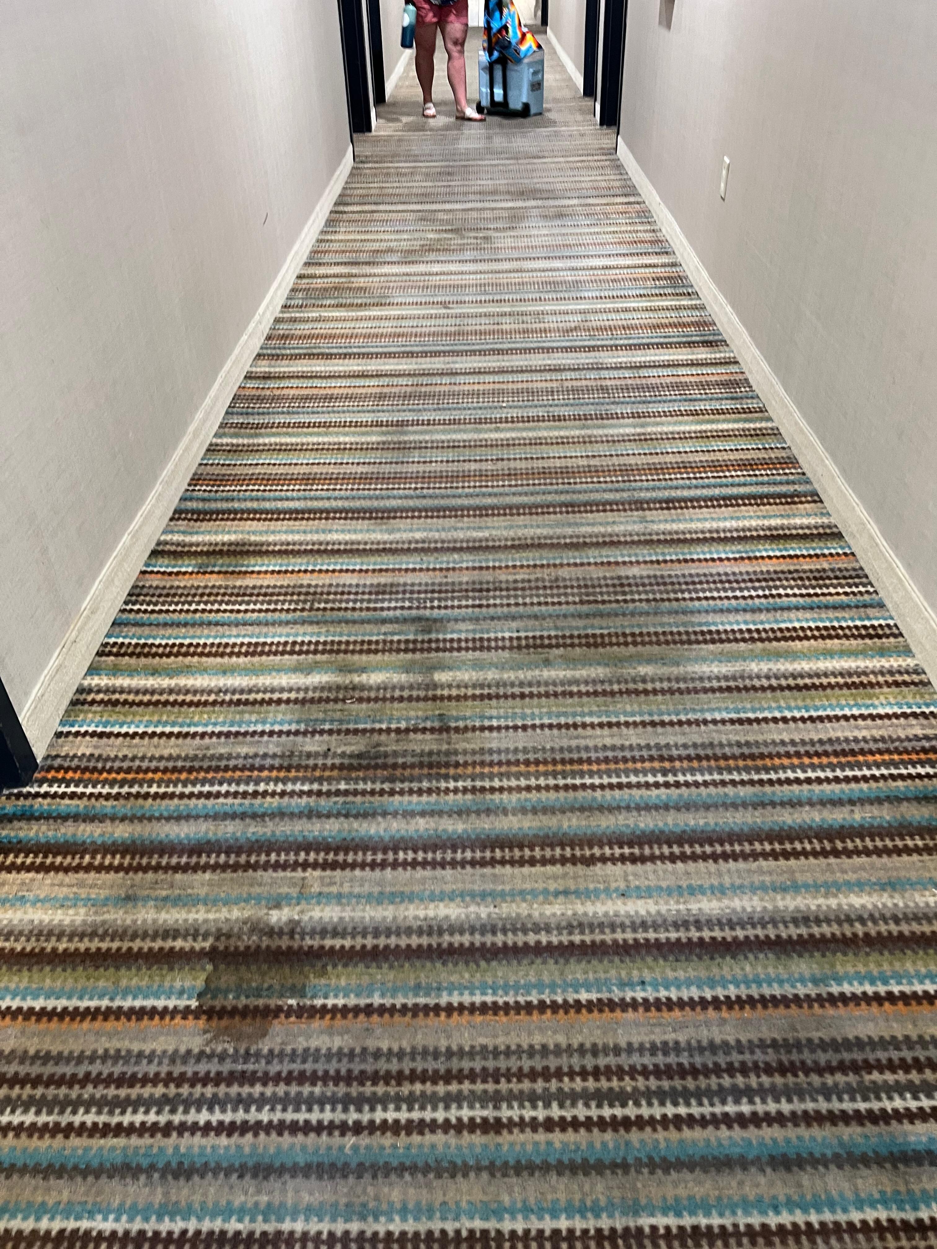 Disgusting carpet