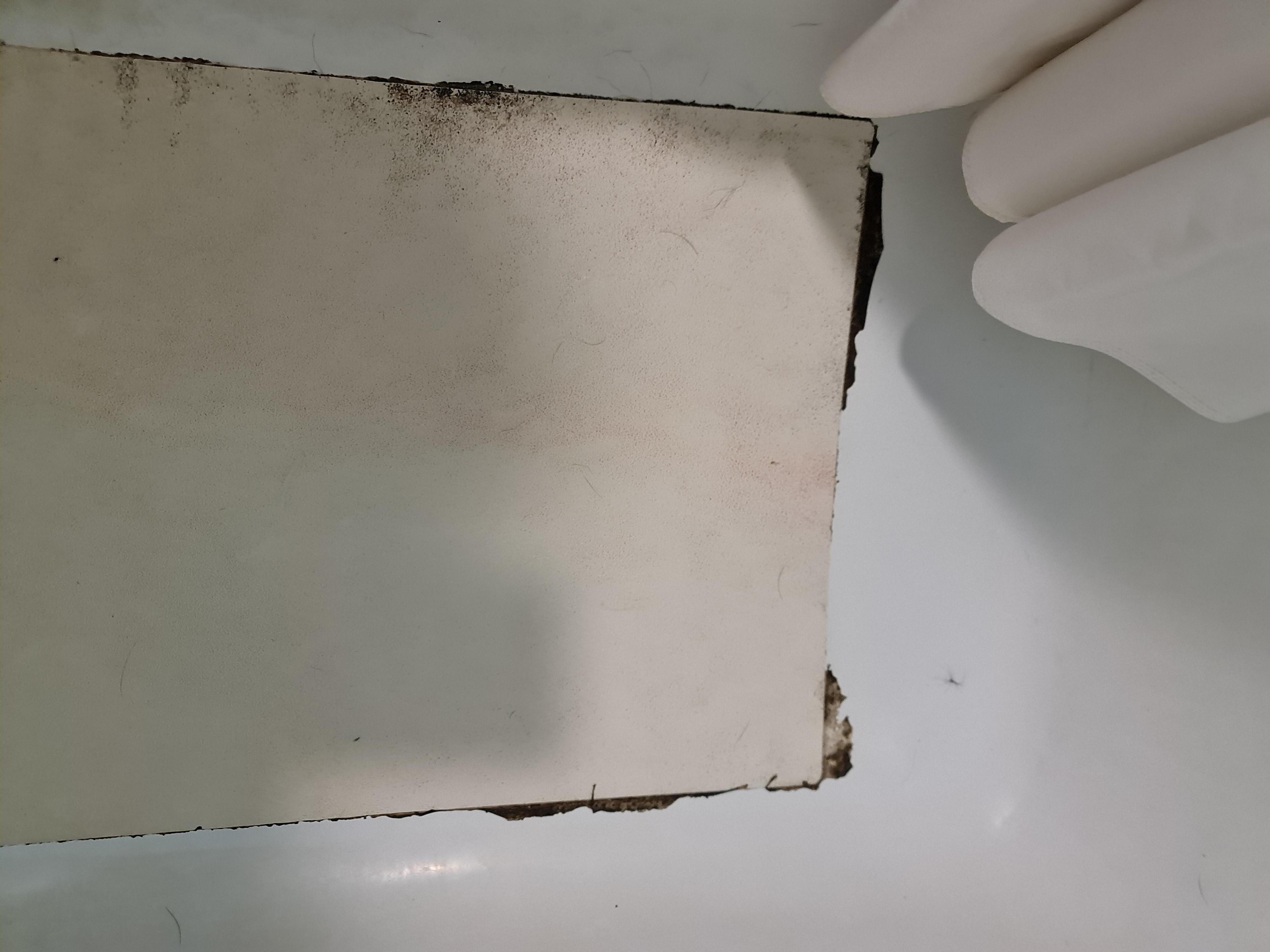 Mold galore. Bring your newly weds here for the pampering of a lifetime.