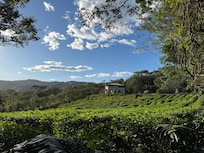 Backside of property