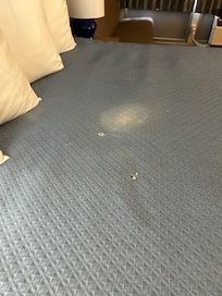 The bed comforter had burn marks and stains