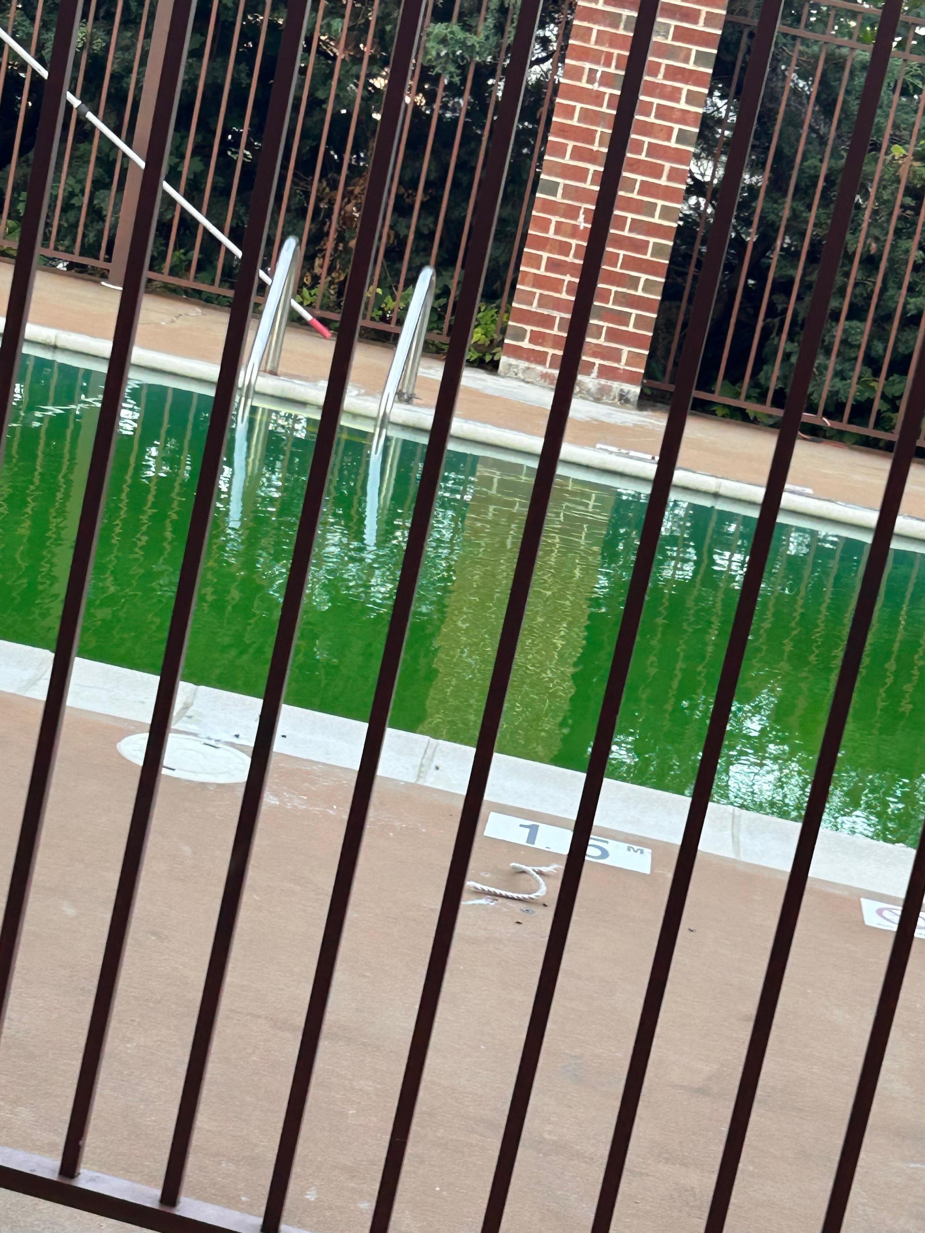 Their pool