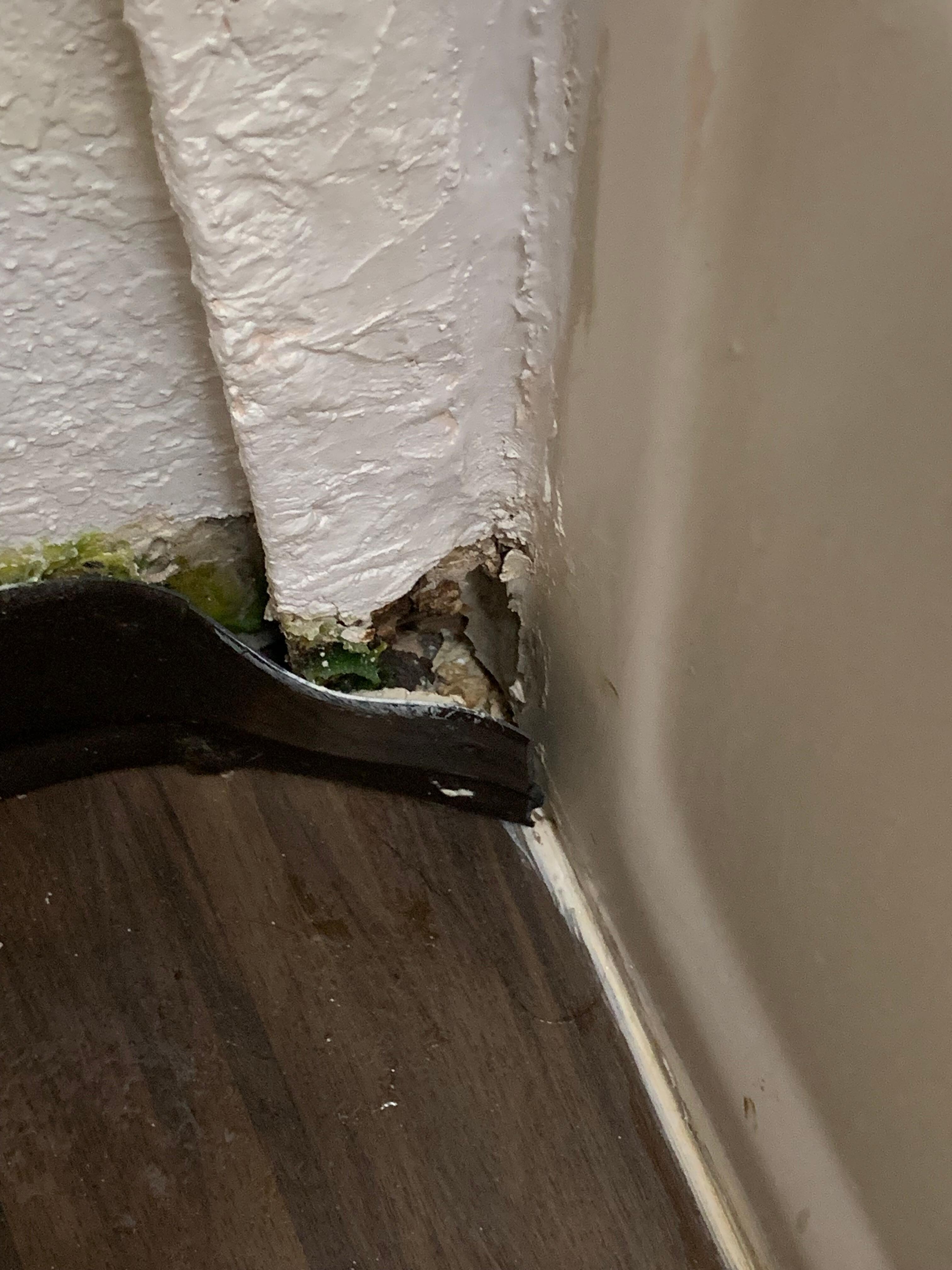 Trim in bathroom 