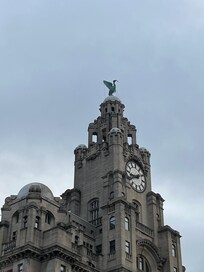 View of the liver building from the room