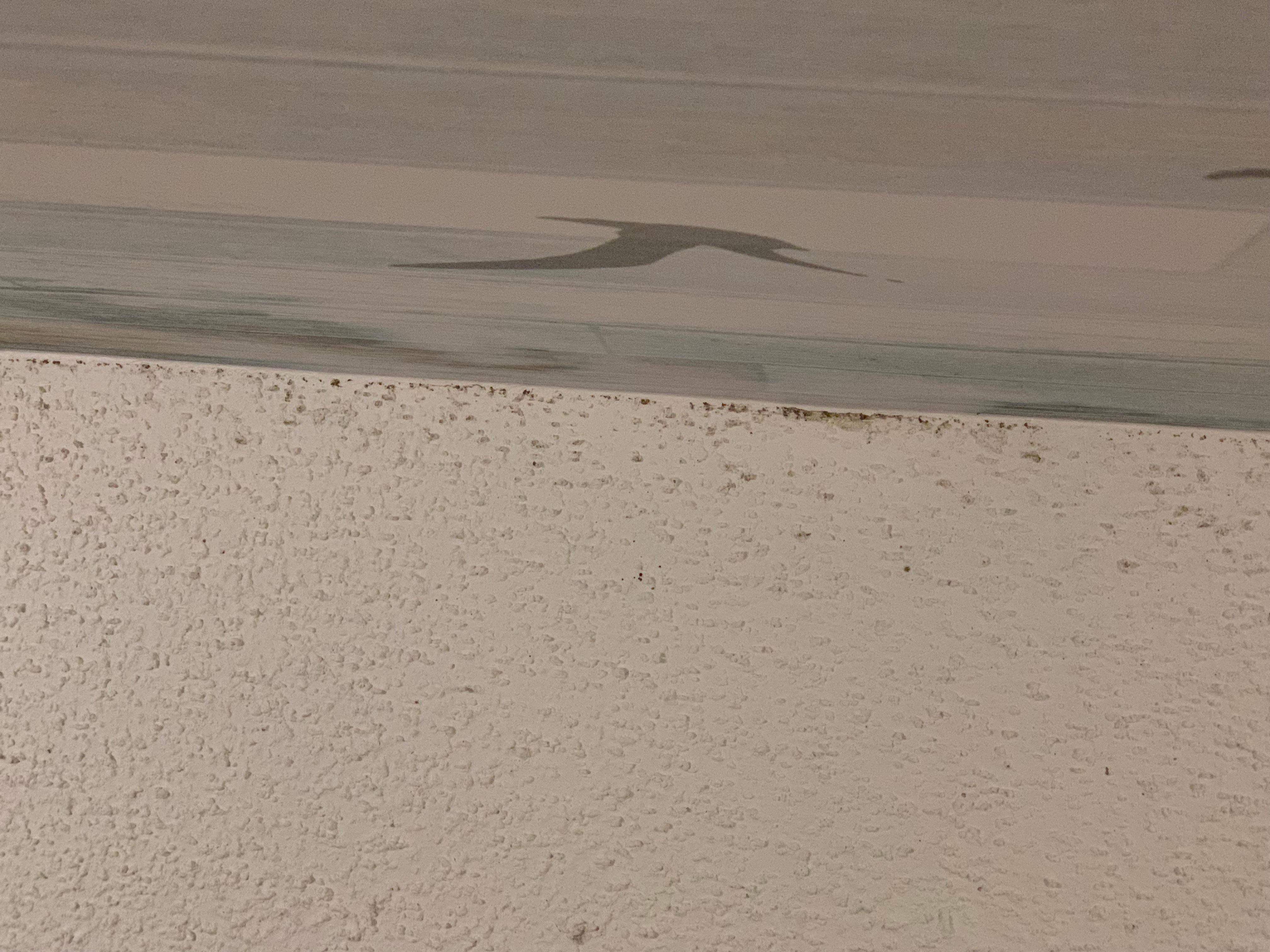 over the couch in the room