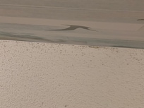 over the couch in the room