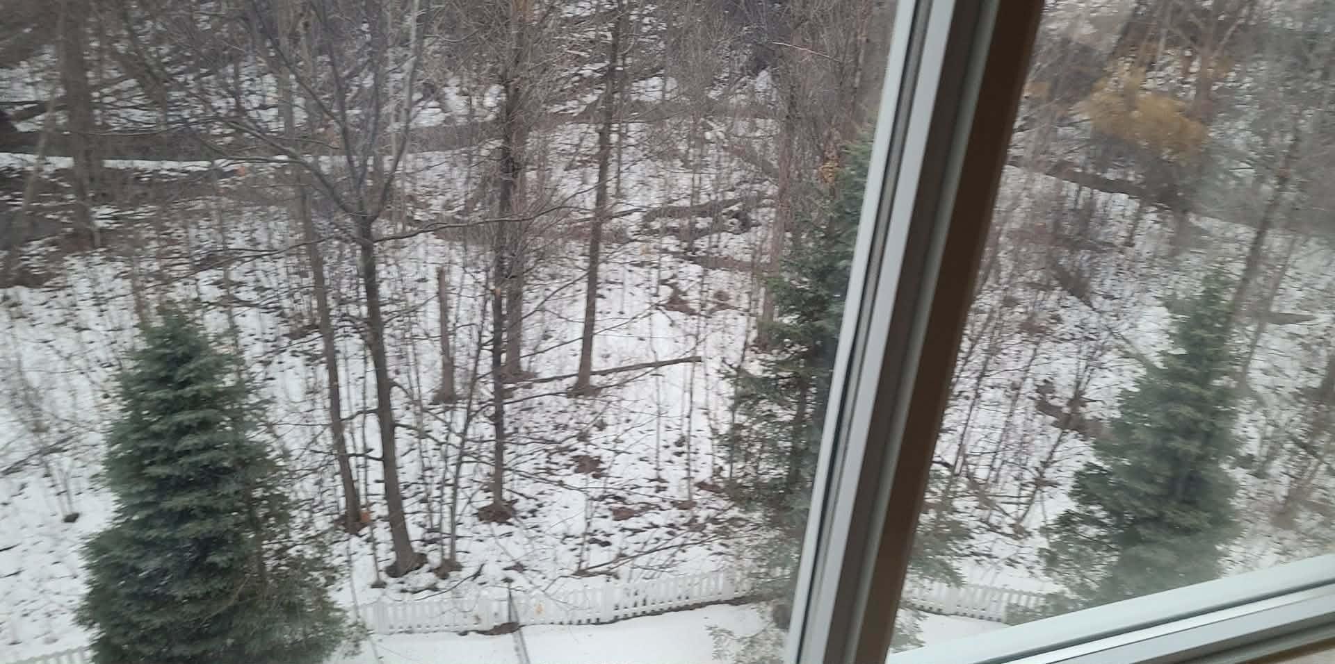 Nice view from window.