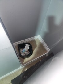Trash in room
