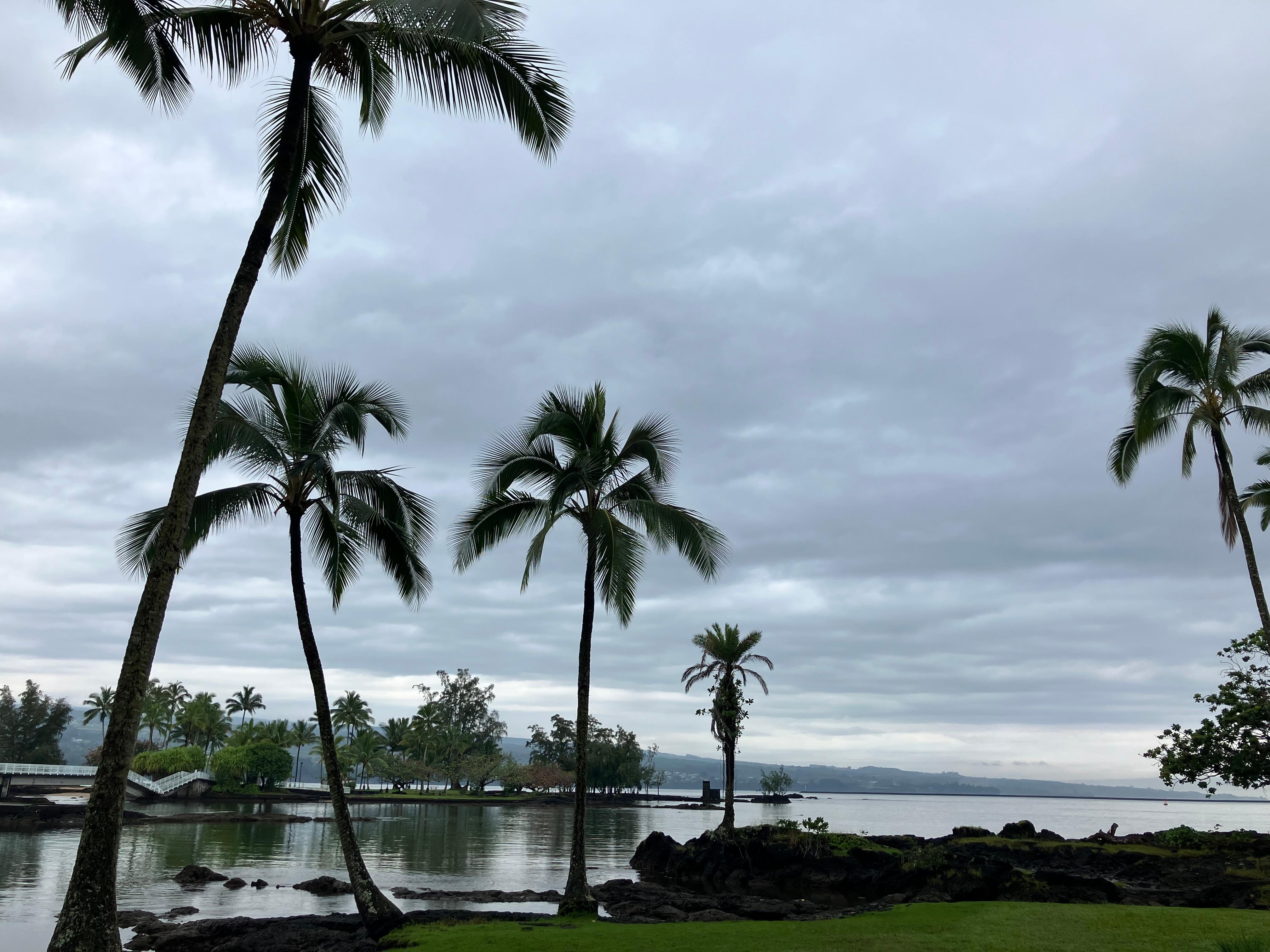 View of the shore of the hotel 