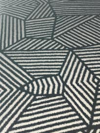 The mind altering carpet in our room. Made our eyes go funny!