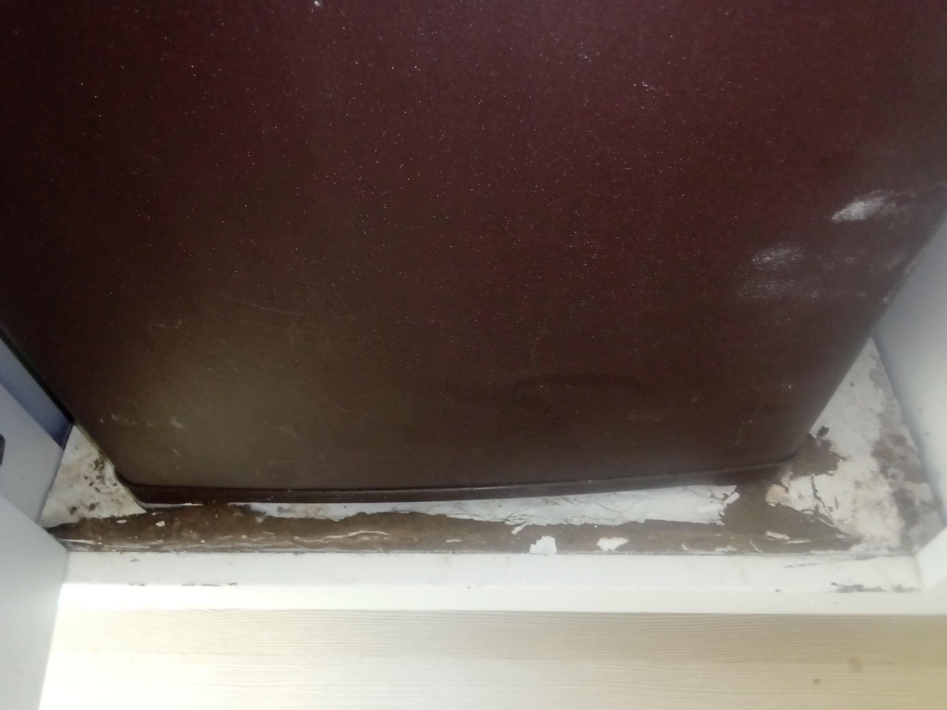 Leaking fridge caused cabinet damage