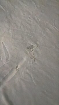 Burned bed sheets