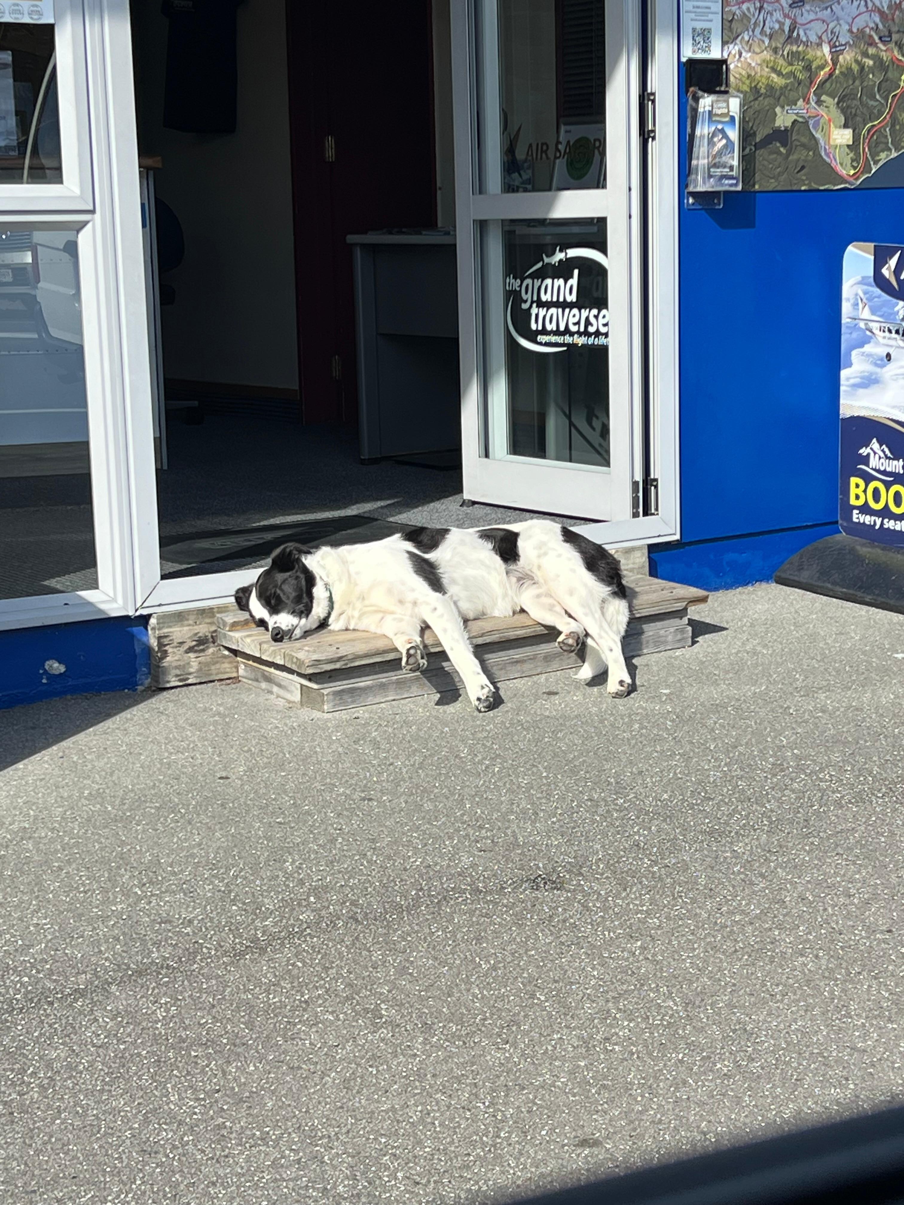 Loving the sun in the Main Street