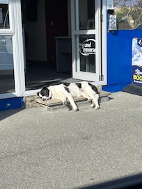 Loving the sun in the Main Street