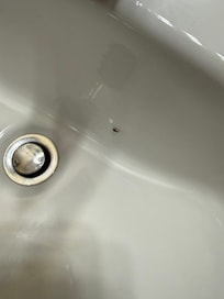 Roaches in kids bathroom