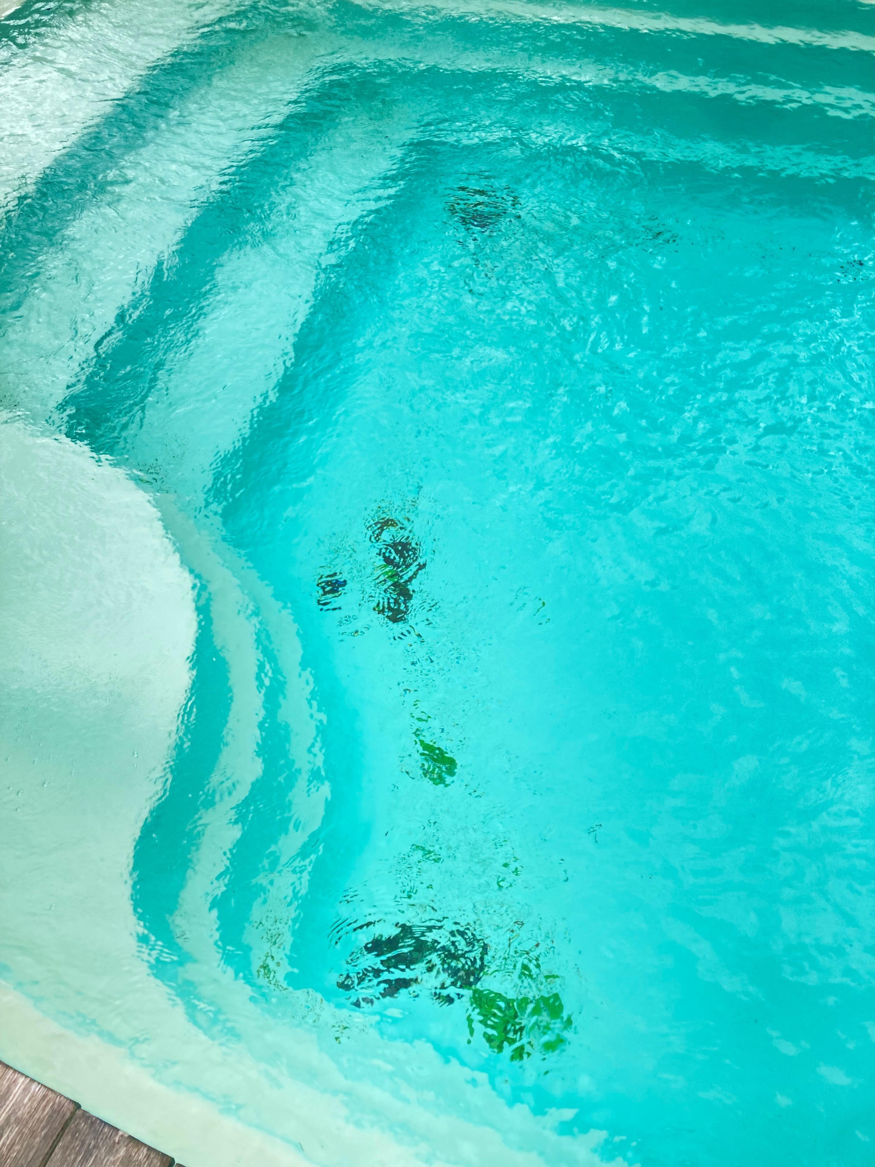 Algae in the outside pool