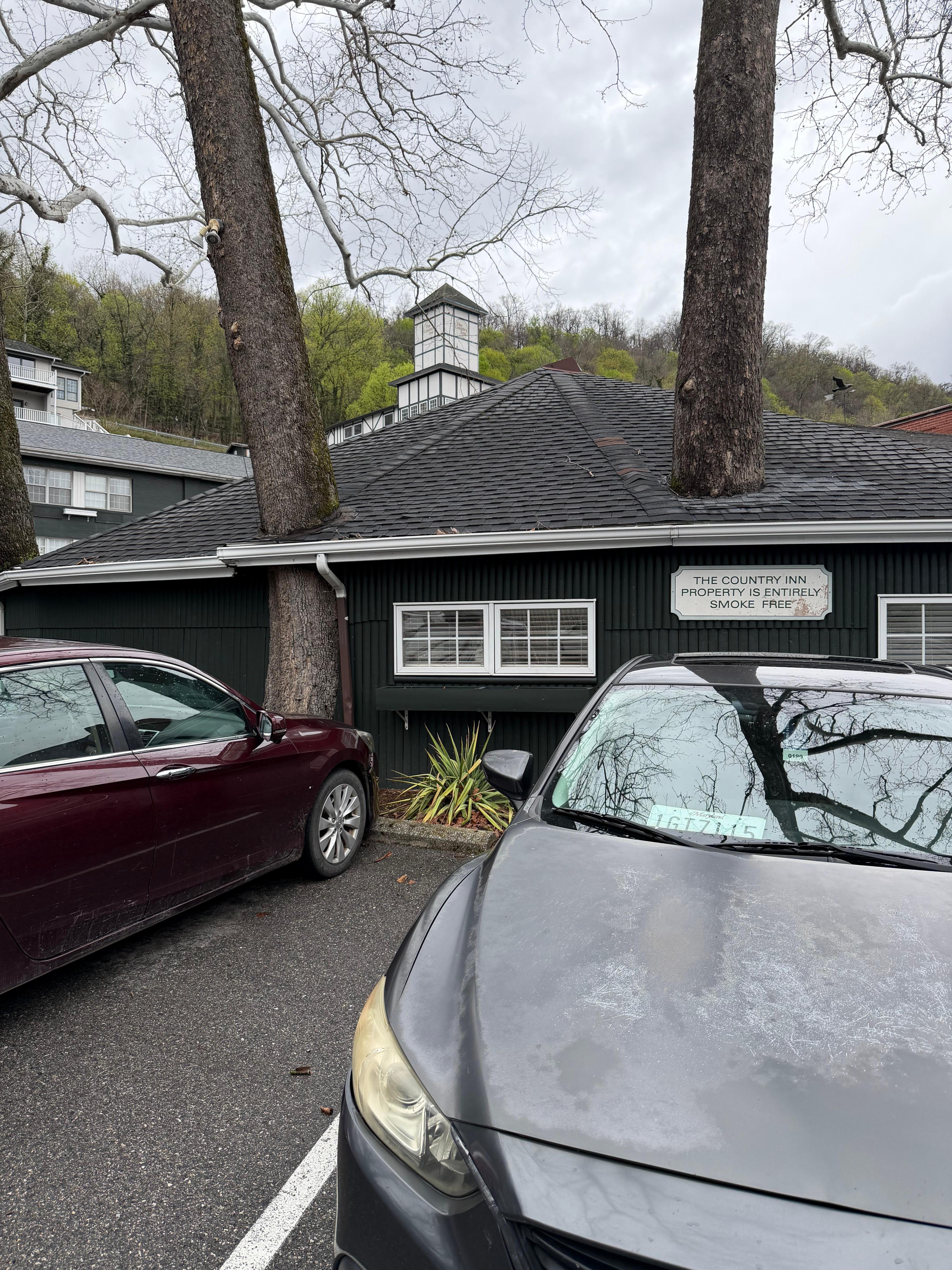 Trees grow through building into restaurant.